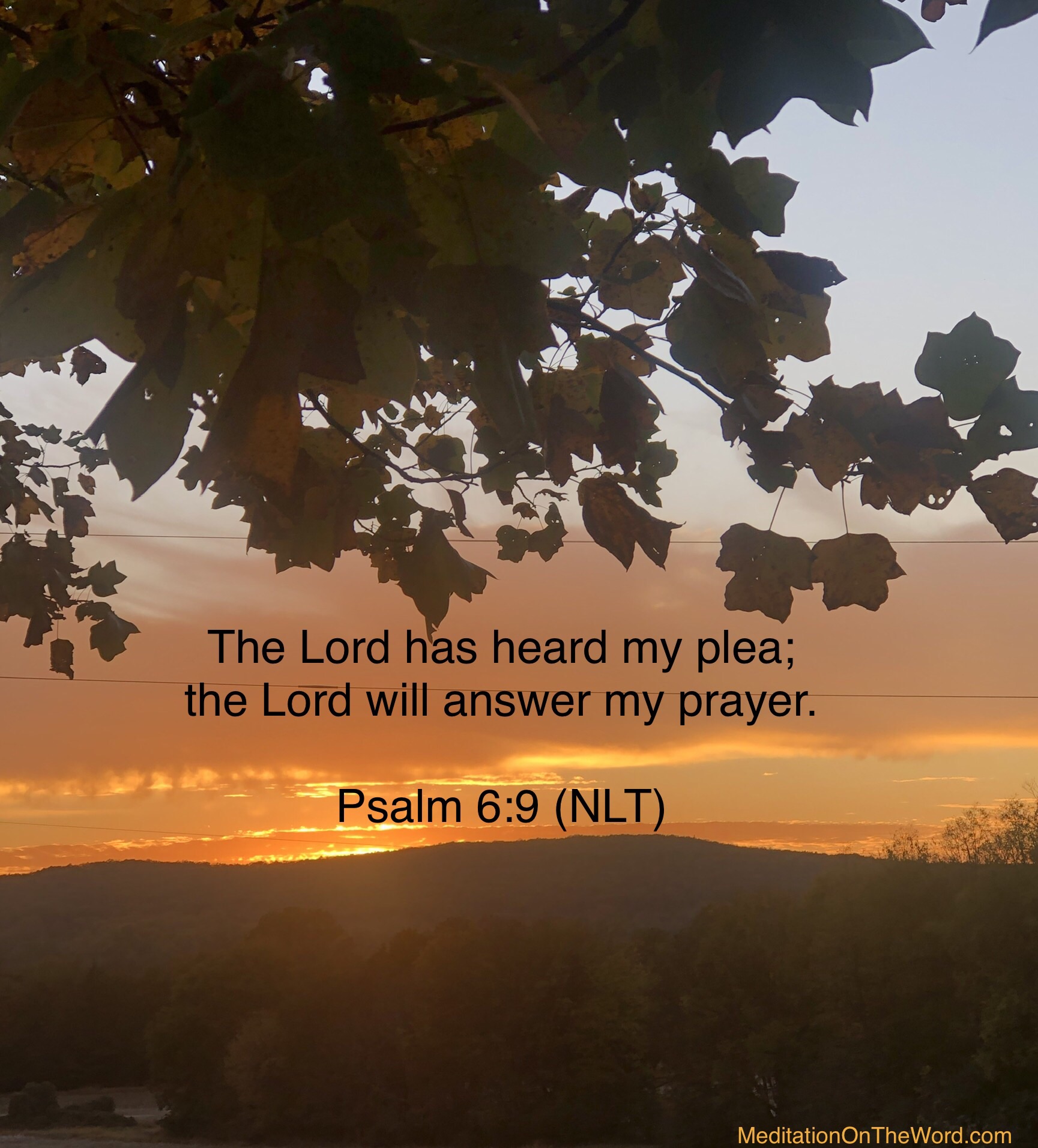 Between the Lines - Psalm 6 - Meditation on the Word